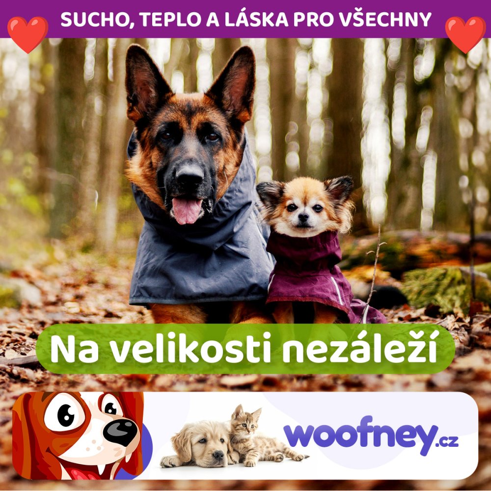 Svetr pro psa: Vyhozené peníze, nebo chytrá investice? | Woofney.cz